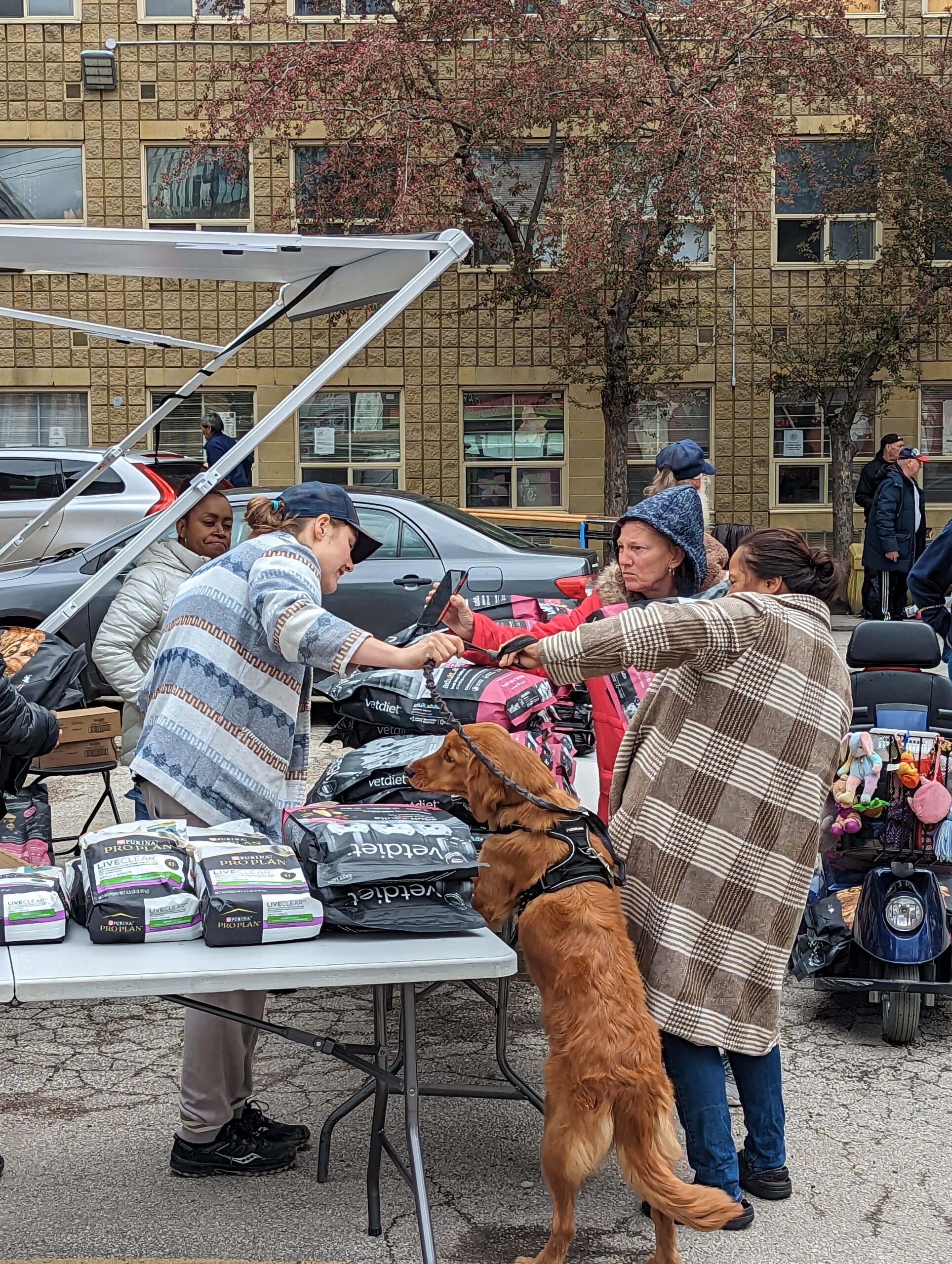 Help Us Fill More Bellies by Winning the Great Canadian Giving ...