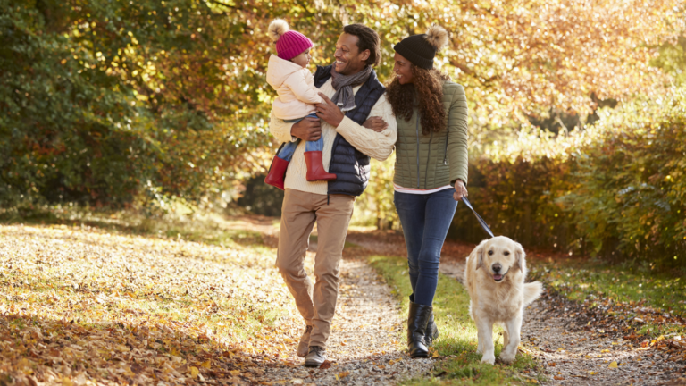 5 Fall Safety Tips - Toronto Humane Society