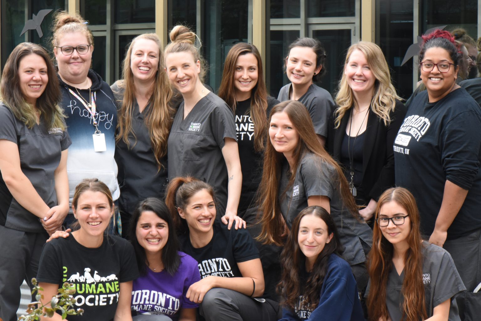 Celebrating Veterinary Technician Appreciation Month - Toronto Humane ...