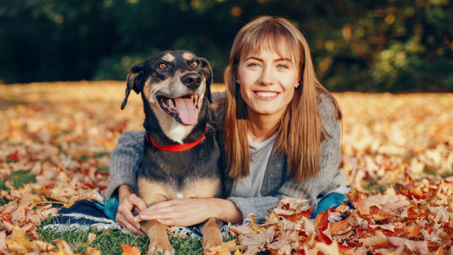Fall Pet Tips - Toronto Humane Society