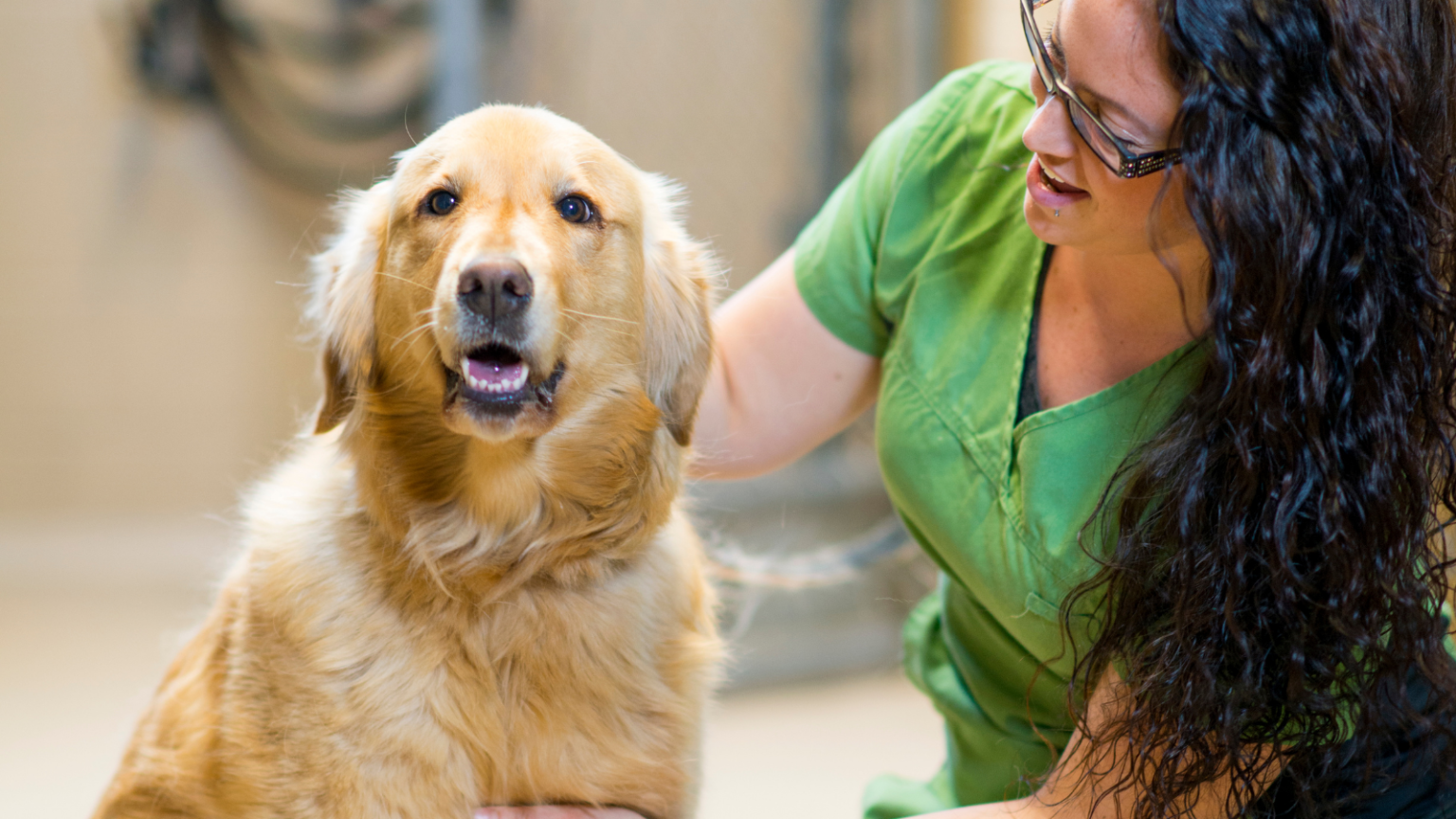 Animal Care Worker Appreciation Week - Toronto Humane Society