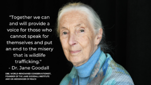 Reintroducing the Jane Goodall Act to Protect More Animals in Captivity ...