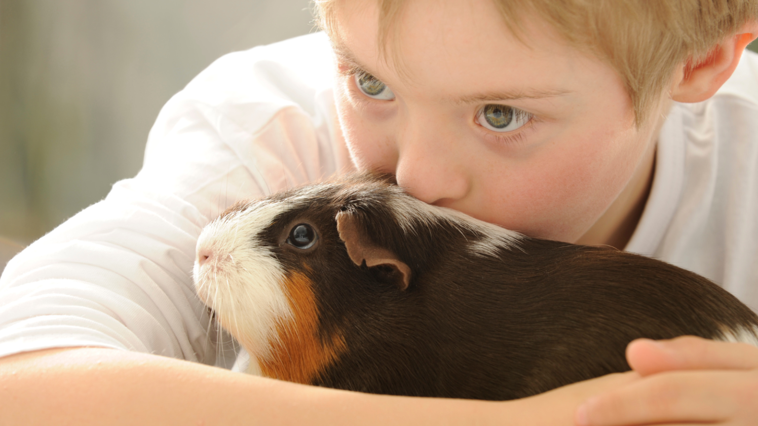 Show Your Pets a Little Extra Love During Pet Appreciation Week ...