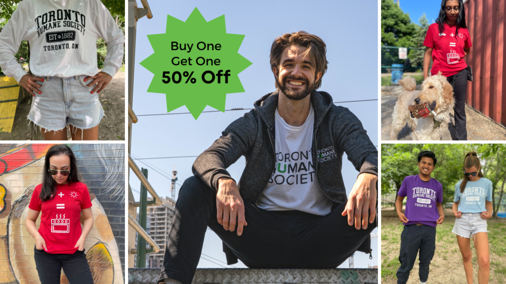 Buy One Get One 50% off Summer Sale - Toronto Humane Society