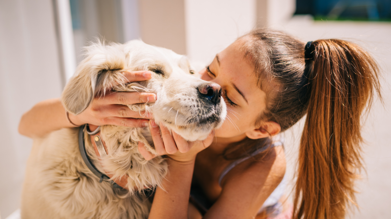 8 Ways to Celebrate National Dog Day - Toronto Humane Society