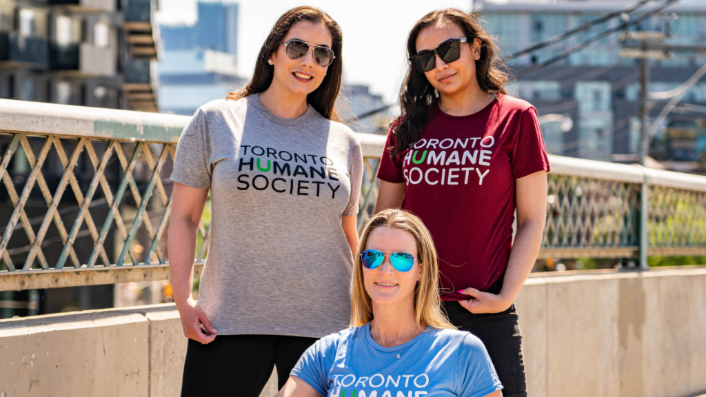 40% Off Apparel Items and Dog Coats - Toronto Humane Society