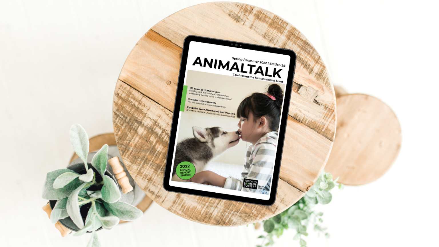 Read the Latest Issue of Toronto Humane Society’s Magazine – AnimalTalk ...