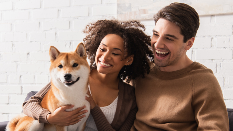 Five Ways to Protect Your Pet - Toronto Humane Society