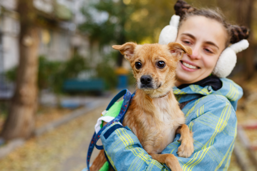 BlogTO: You can Help Toronto Pets in Need Through This Cash-Prize ...