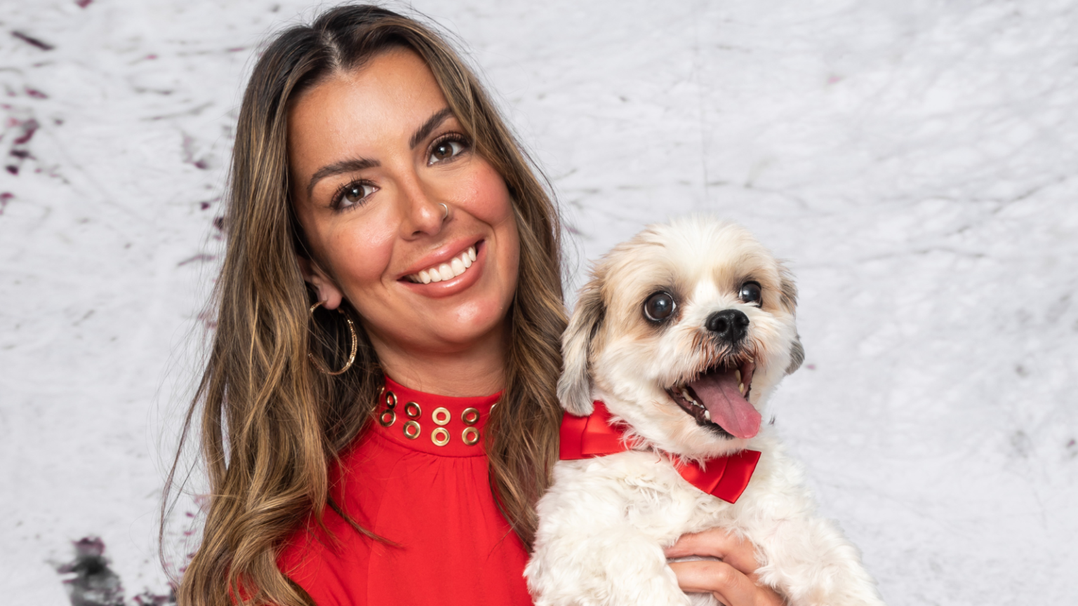 Take Your Holiday Pet Pics at Toronto Humane Society! - Toronto Humane ...