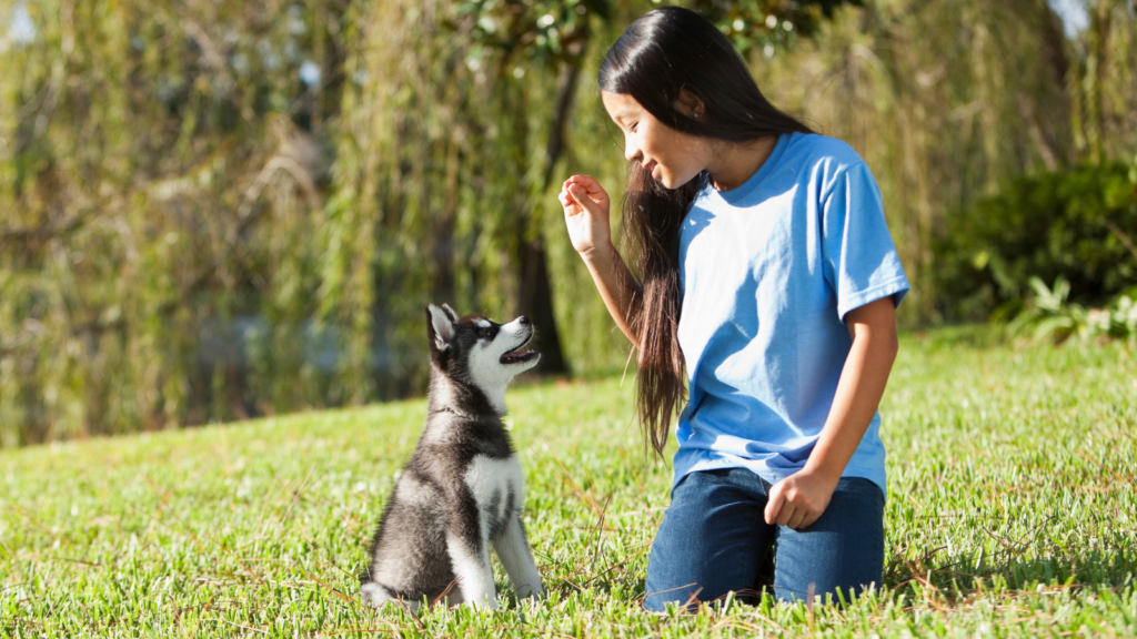 Socializing Your Puppy - Toronto Humane Society