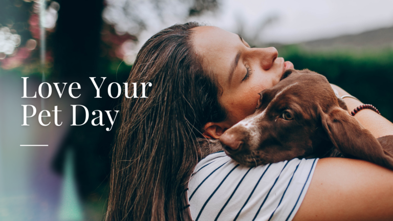 Celebrate National Love Your Pet Day by Giving Your Pets Extra Love ...