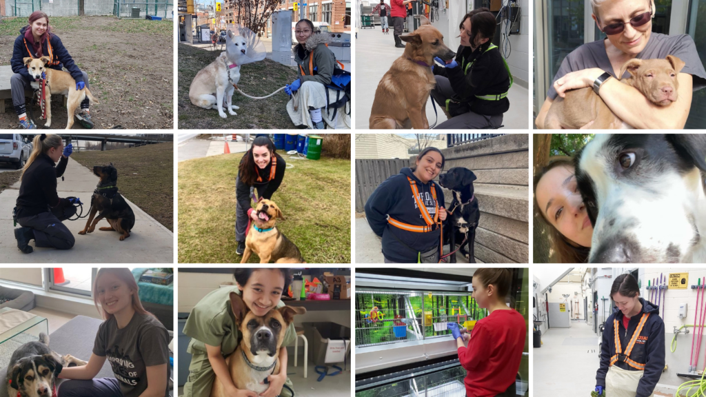 Celebrating the Passion and Dedication of our Animal Care Workers ...