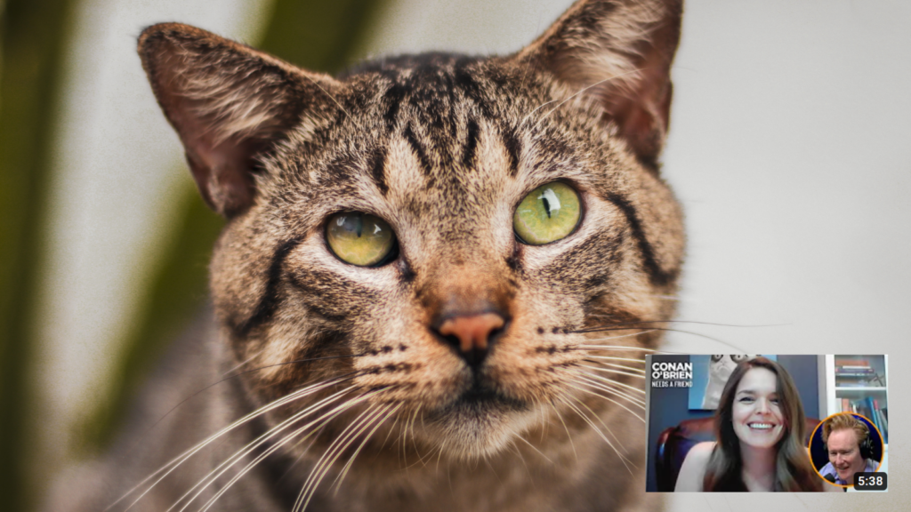 Dr. Jacklyn Ellis Shares Cat Bonding Tips on “Conan Needs a Friend ...