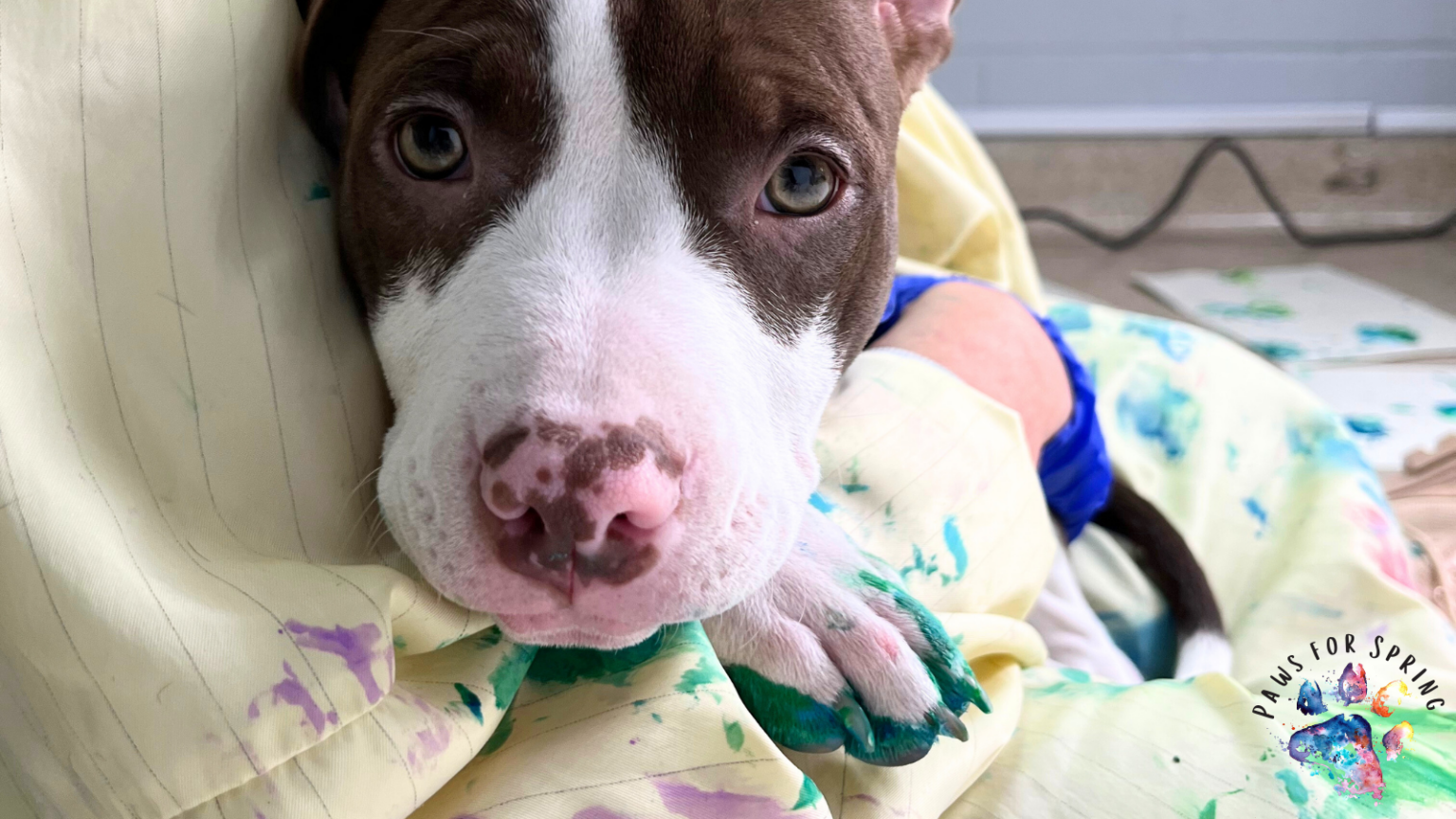 Paws, Puppies and Paint – Get Your Limited-Edition Masterpiece ...