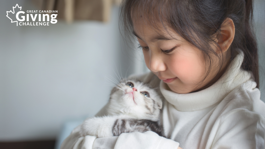 You Can Help Us Win $20,000 - Toronto Humane Society