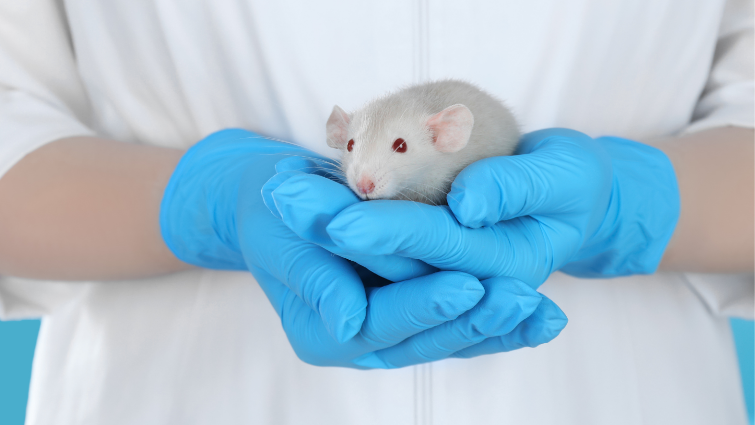 A Historic Milestone: Moving Toward Ending Unnecessary Animal Suffering ...