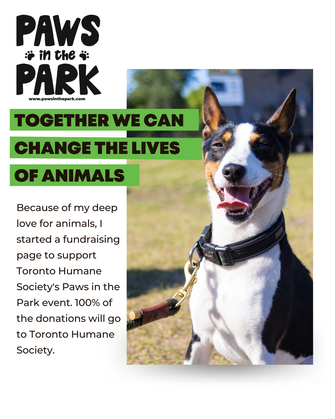 You Have the Power to Make This the Best Paws in the Park Ever ...