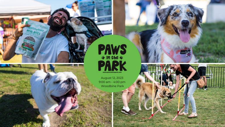 You Have the Power to Make This the Best Paws in the Park Ever ...