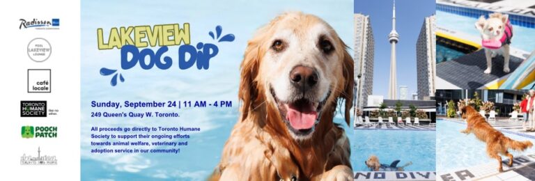 Lakeview Dog Dip - Toronto Humane Society