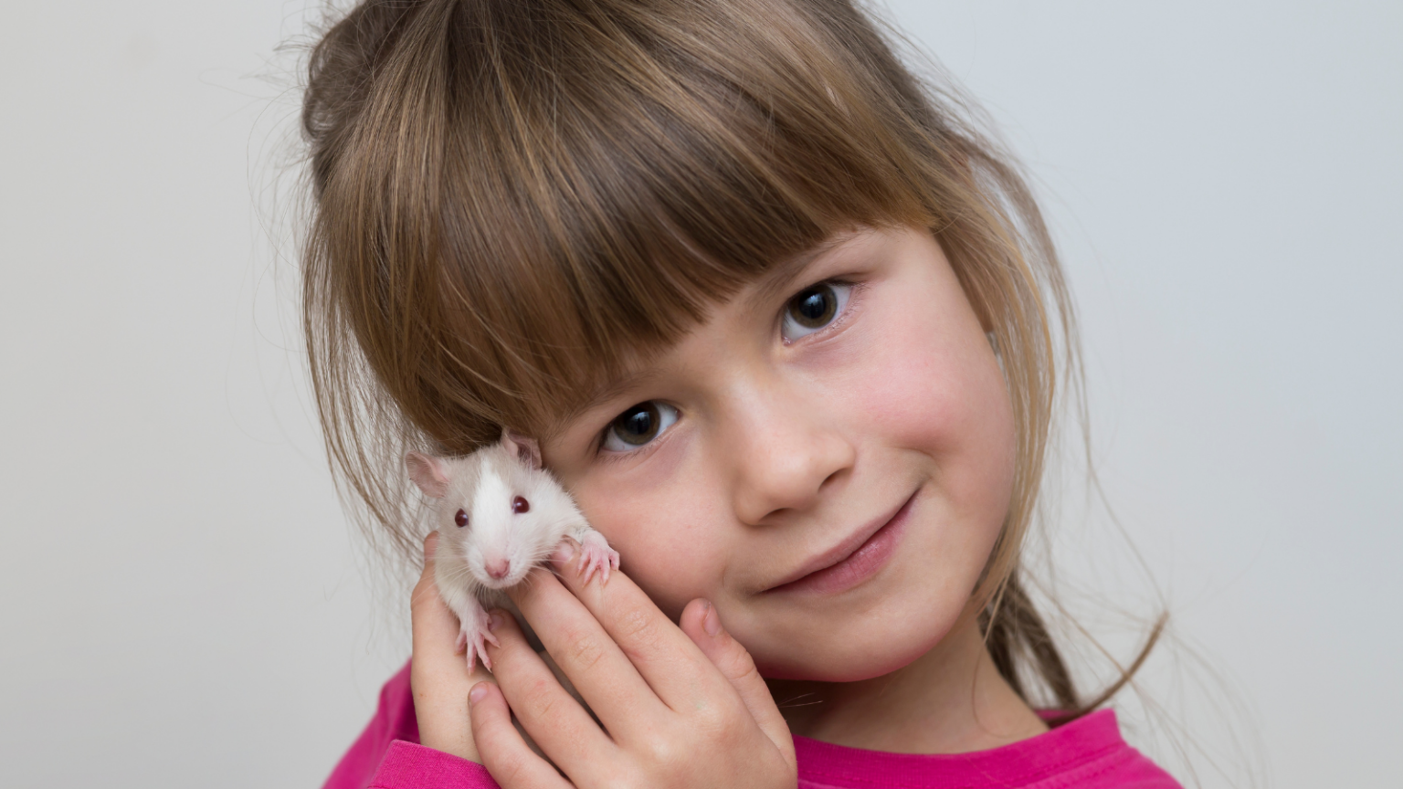 Mice as Companions: Small in Size, Big on Love - Toronto Humane Society