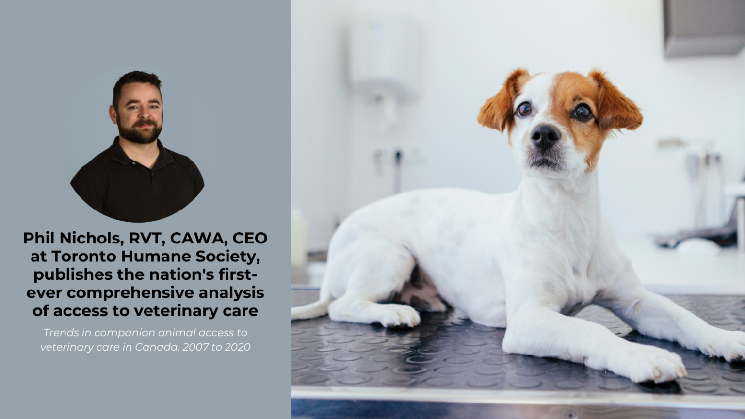 Toronto Humane Society Leads the Way in Canada's First-Ever National ...