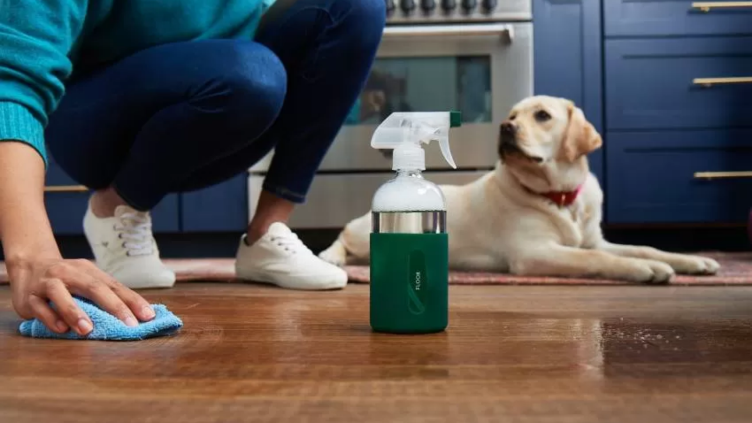 Cleaning Your Home Safely: A Guide to Pet-Friendly Products - Toronto ...