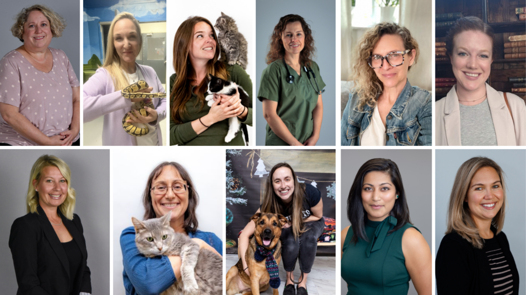 Inspiring Inclusivity: Celebrating the Women Leaders of Toronto Humane ...