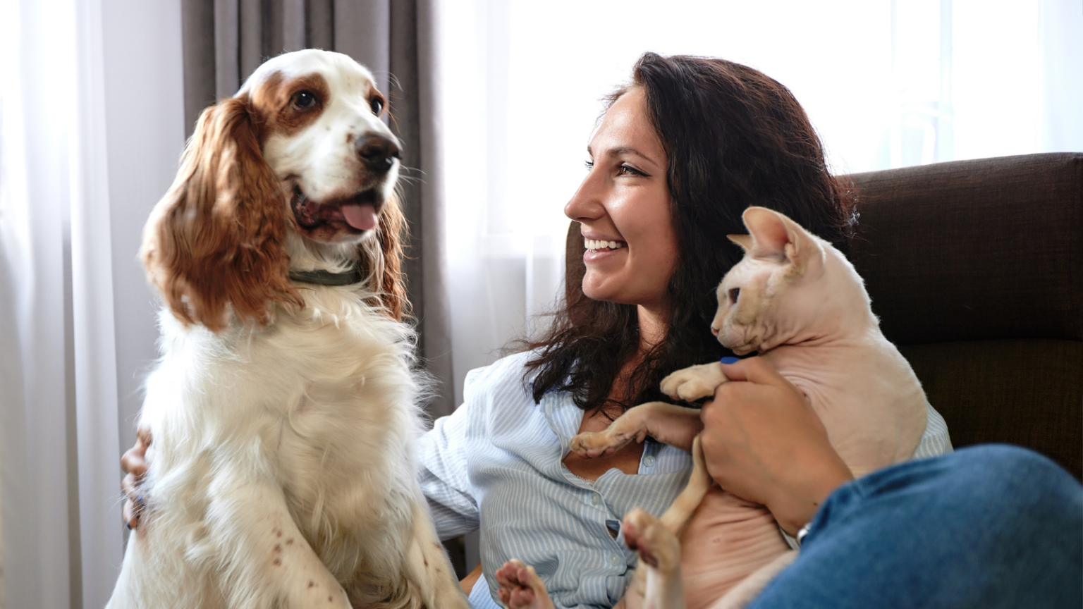 Celebrating the Human-Animal Bond on National Pet Day - Toronto Humane ...