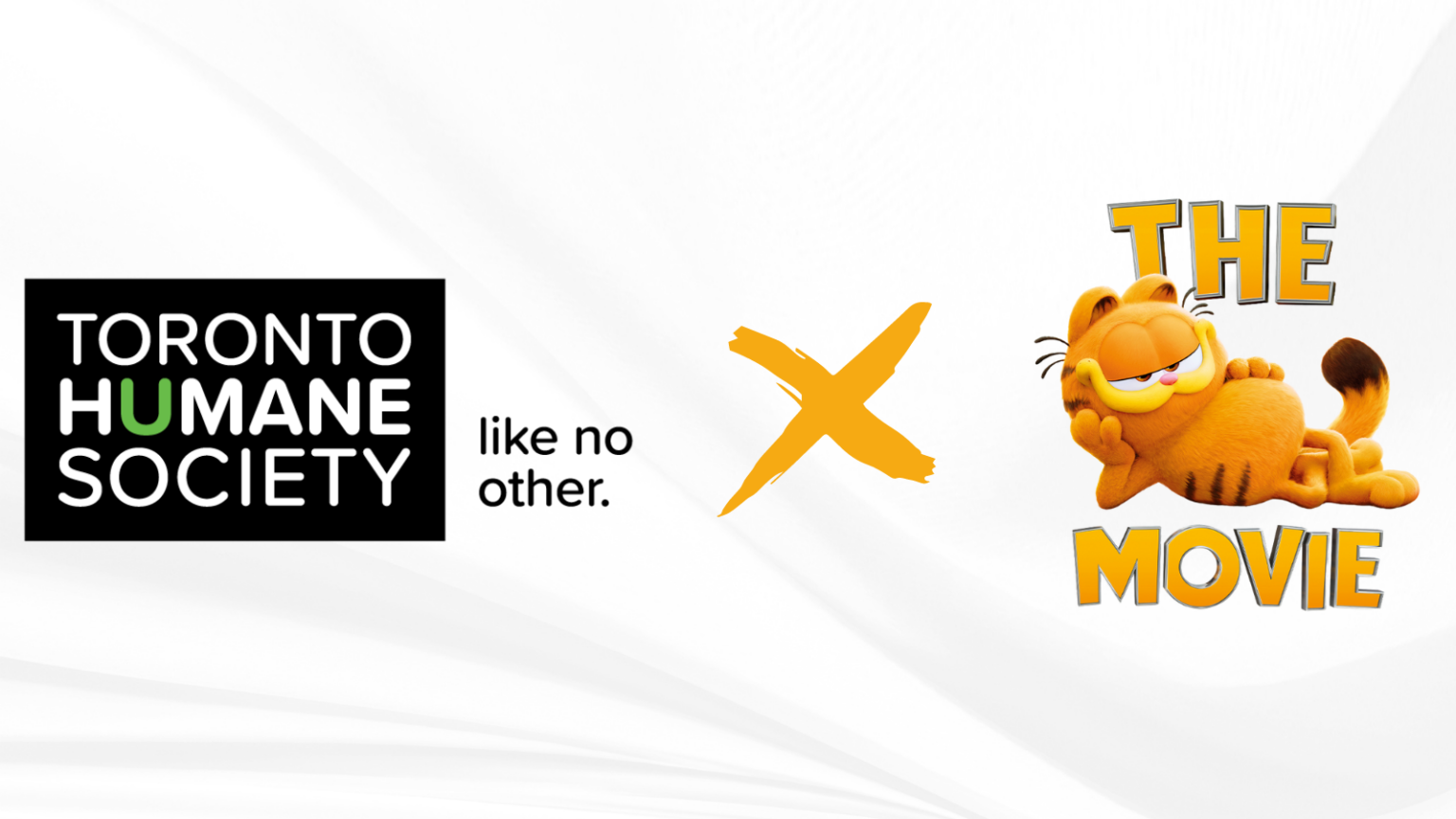 From the Big Screen To Your Heart: Toronto Humane Society Teams Up With ...