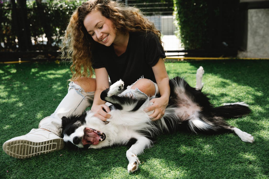 Humane Champion - Toronto Humane Society