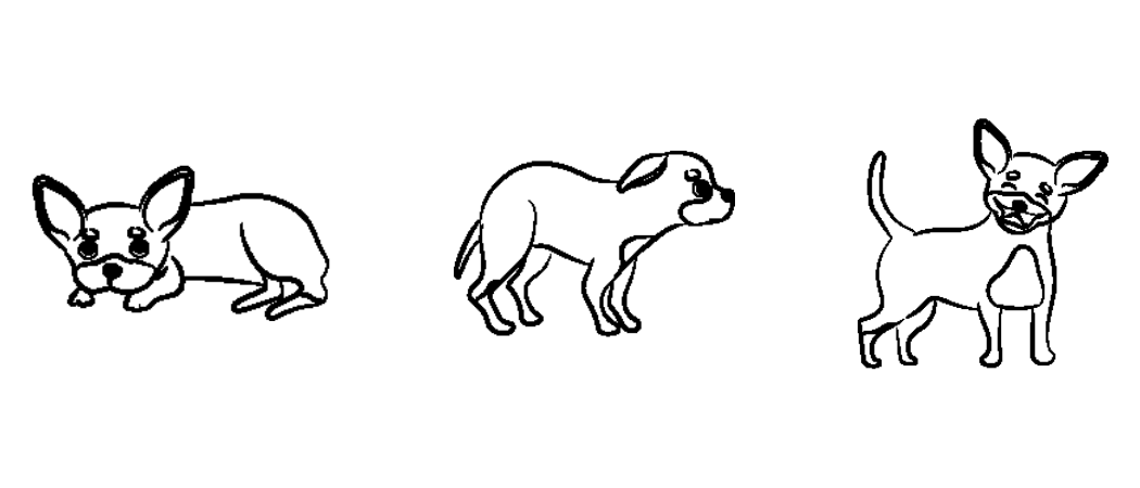 The Essential Guide to Canine Body Language: Decode Your Dog’s Signals ...