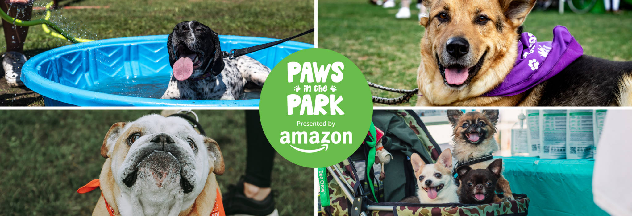 Paws in the Park Presented by Amazon - Toronto Humane Society