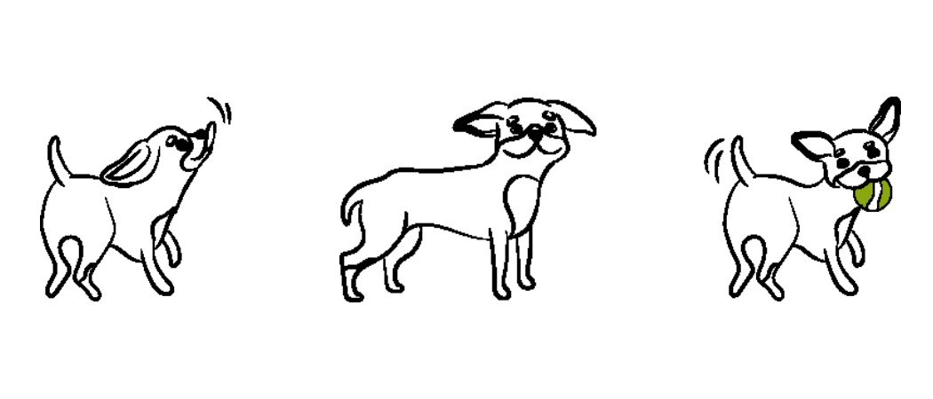 The Essential Guide to Canine Body Language: Decode Your Dog’s Signals ...