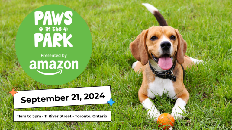 Join Us for a Tail-Wagging Good Time at Paws in the Park® Presented by ...