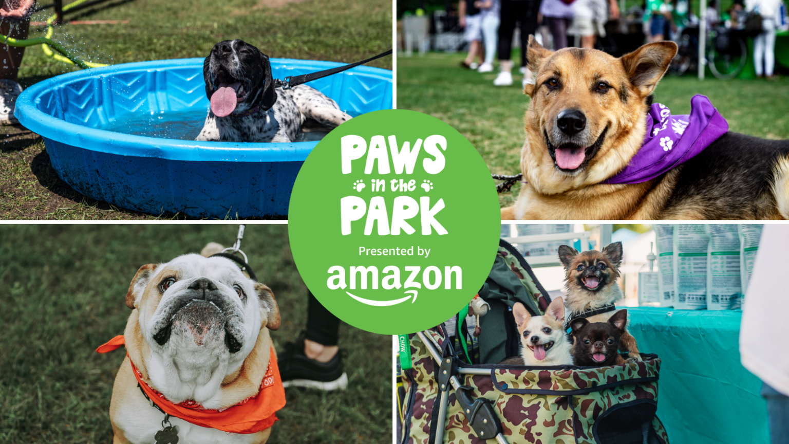 Toronto's Favourite Pet Event is Back - Toronto Humane Society