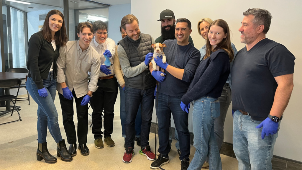 Team Experience Day: The Ultimate Way to Give Back as a Corporate Group ...
