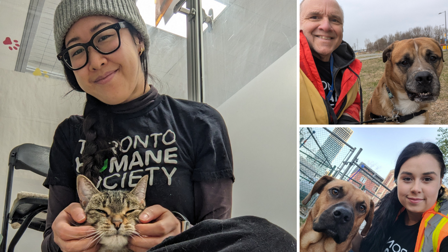 Volunteers Make Waves in Animal Welfare - Toronto Humane Society