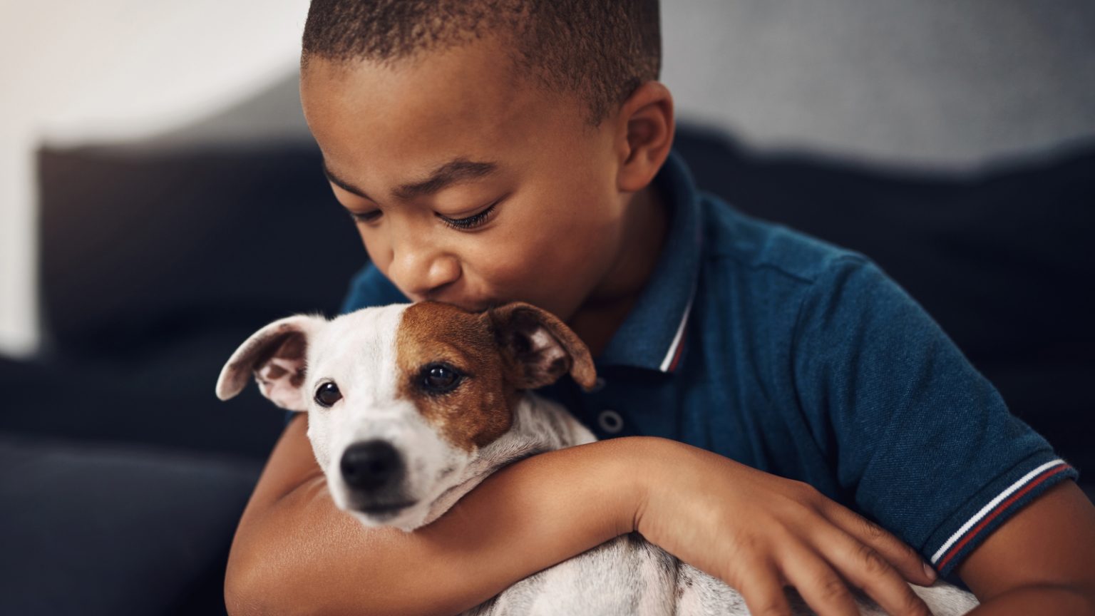 Understanding Parvovirus: A Fatal but Preventable Disease - Toronto ...