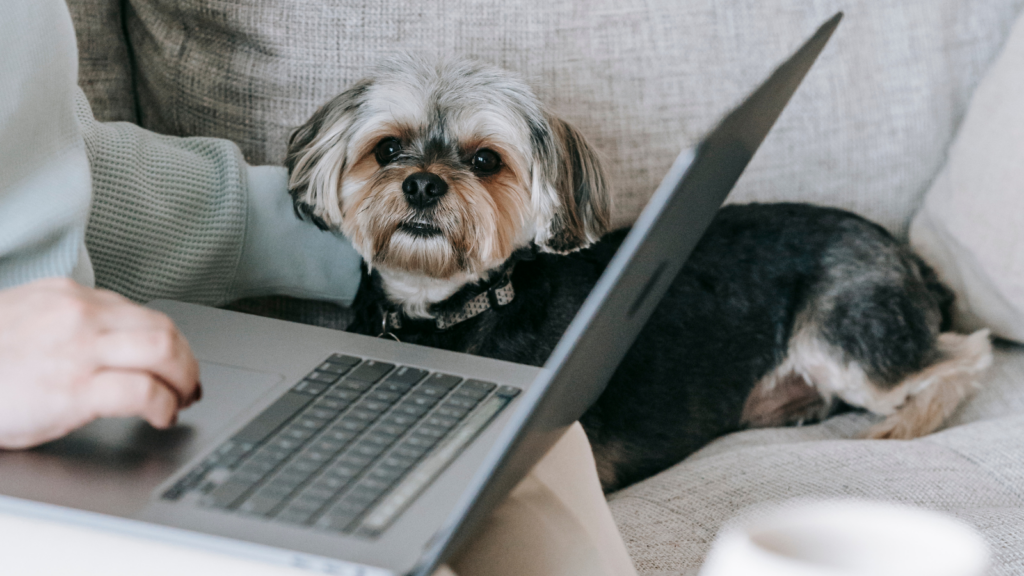 Introducing Our Free Pet Resource Library: Expert Advice at Your ...