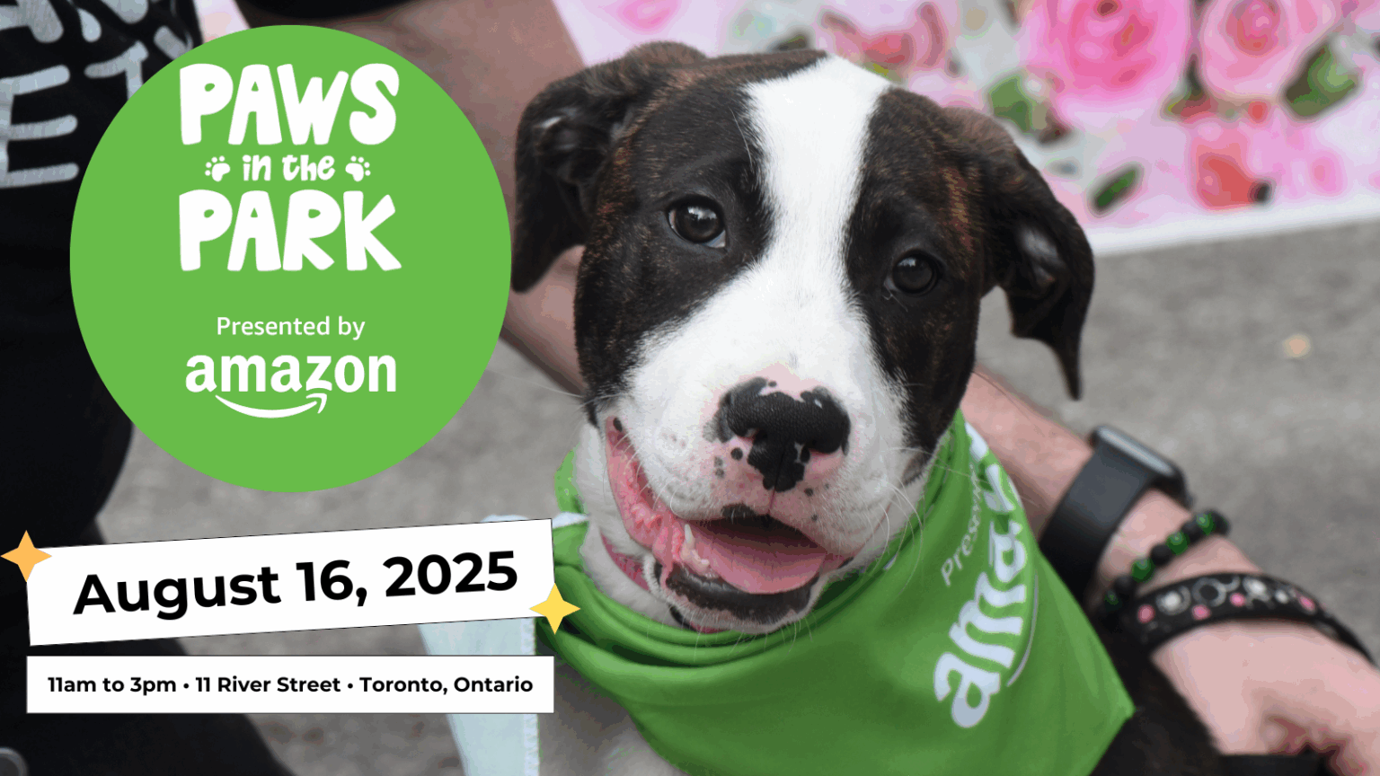 Join Us for Toronto's Ultimate Pet Party - Paws in the Park Presented ...